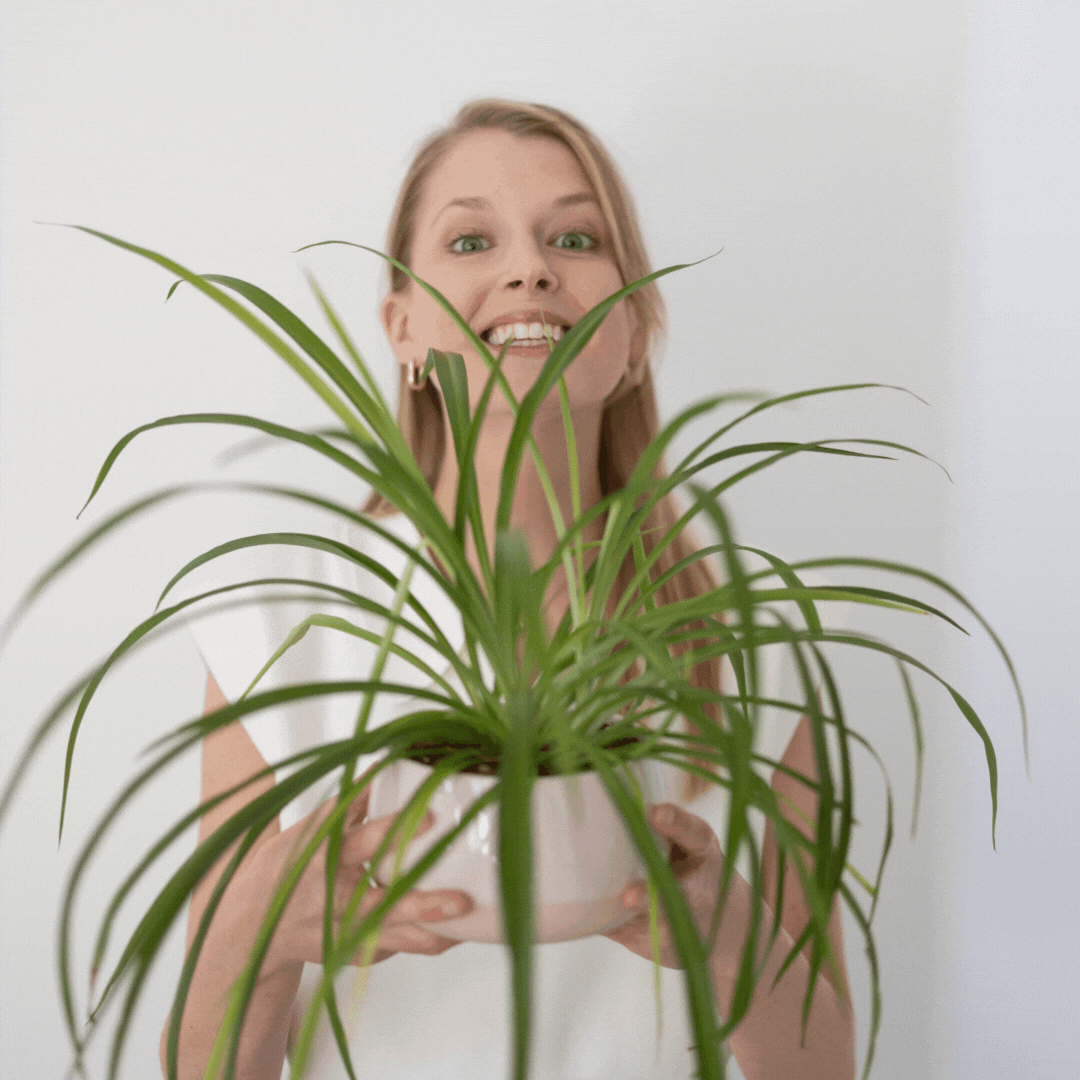 Headshot Photography Guide - Novella Brandhouse